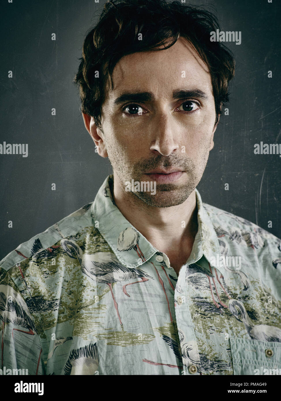 Michael fox series hi-res stock photography and images - Alamy