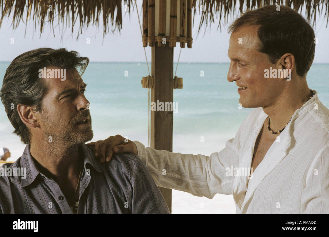 (left to right) Pierce Brosnan as master thief "Max" and Woody ...