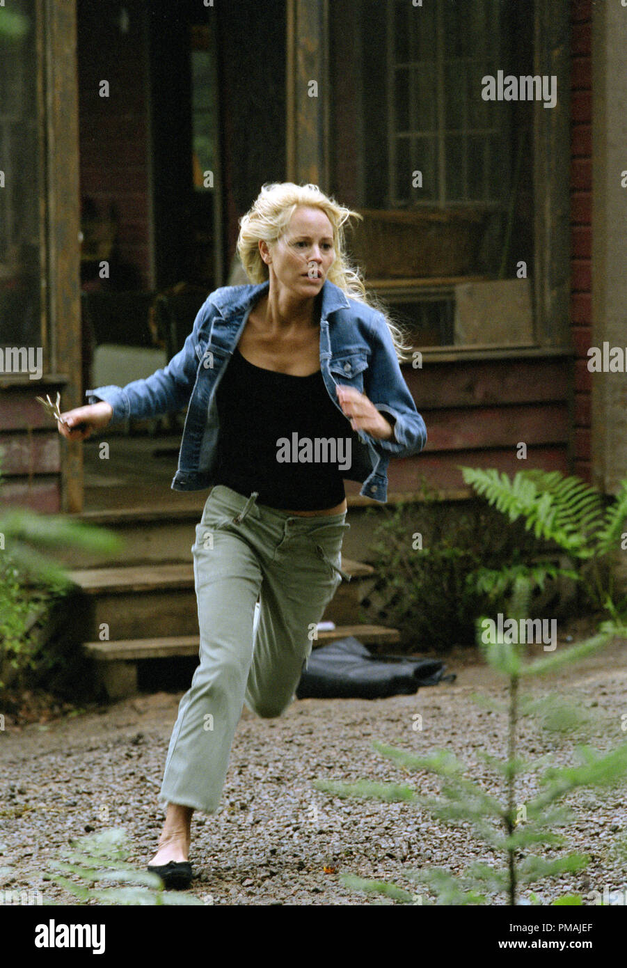 Maria Bello stars as Amy, Mort Rainey's (Johnny Depp) estranged wife in ...