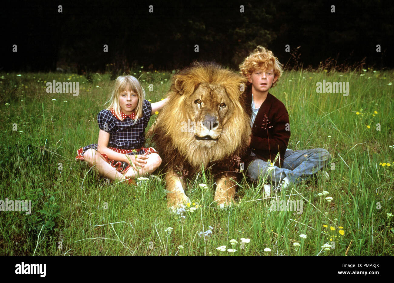 Johnny Whitaker Jodie Foster