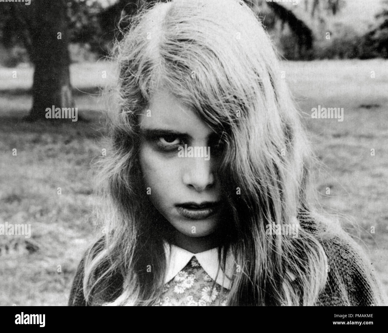 Vector The Living Dead Of Night