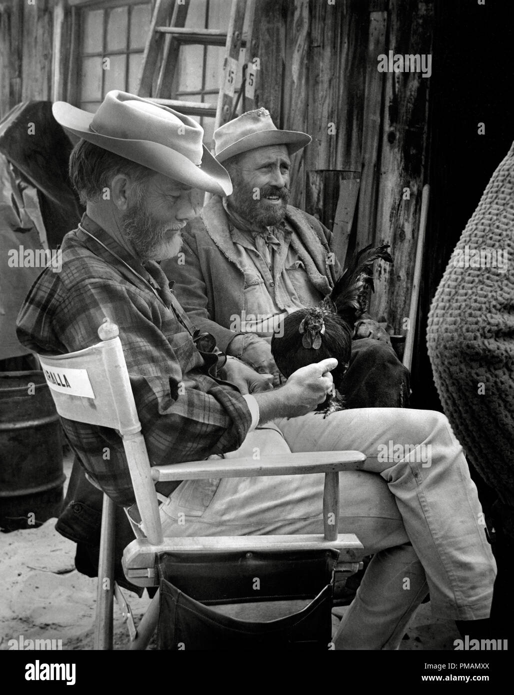 Sam Robards Fandango