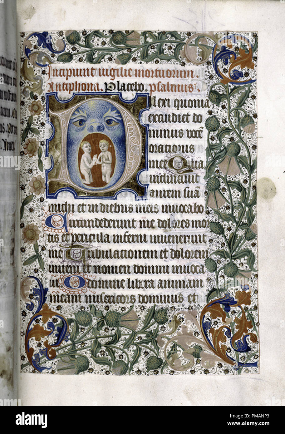 Medieval Manuscript Border High Resolution Stock Photography and Images ...