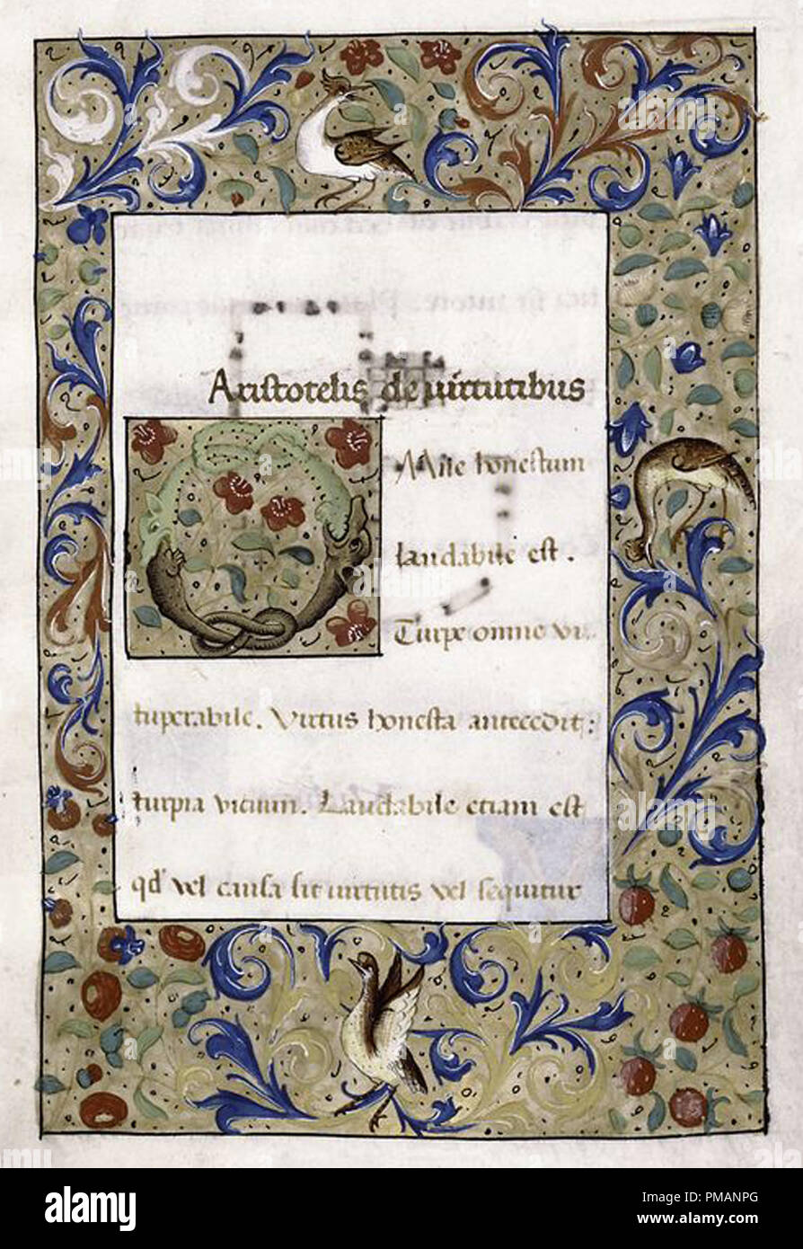 Medieval Manuscript Border High Resolution Stock Photography and Images ...