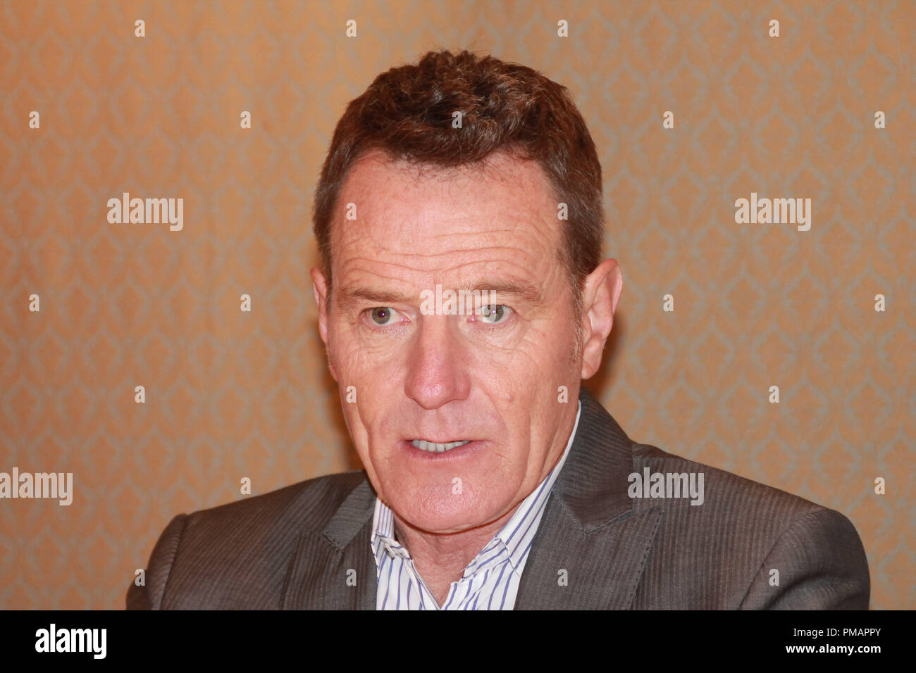 Bryan Cranston "Breaking Bad" TV Portrait Session, July 23, 2013 ...