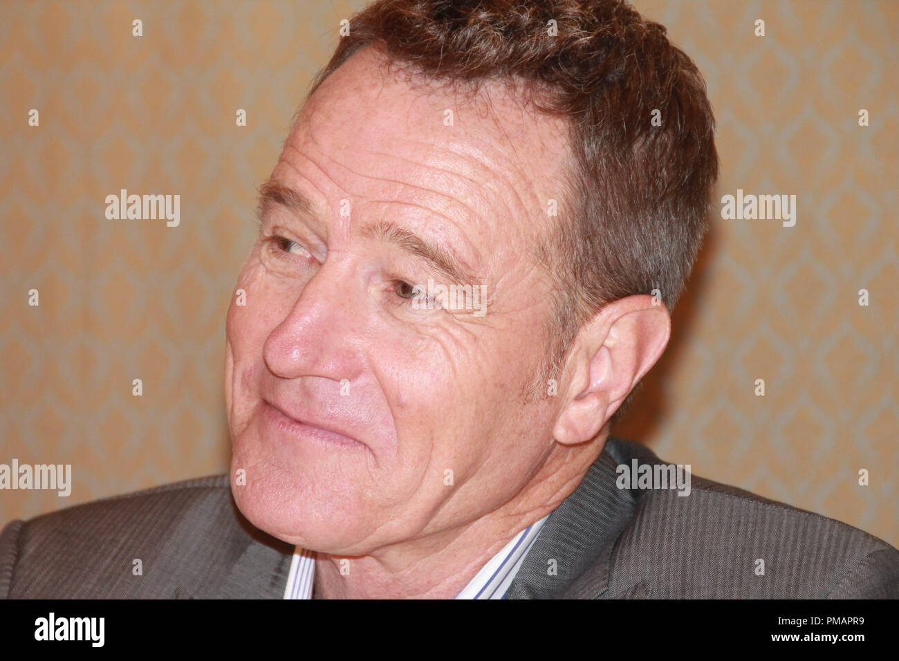 Bryan Cranston "Breaking Bad" TV Portrait Session, July 23, 2013 ...