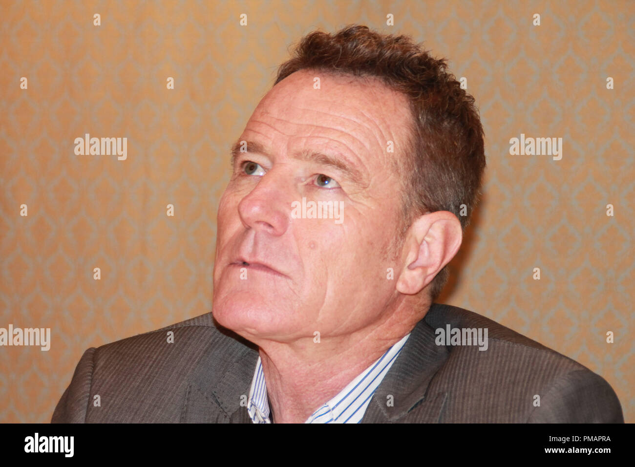 Bryan Cranston "Breaking Bad" TV Portrait Session, July 23, 2013 ...