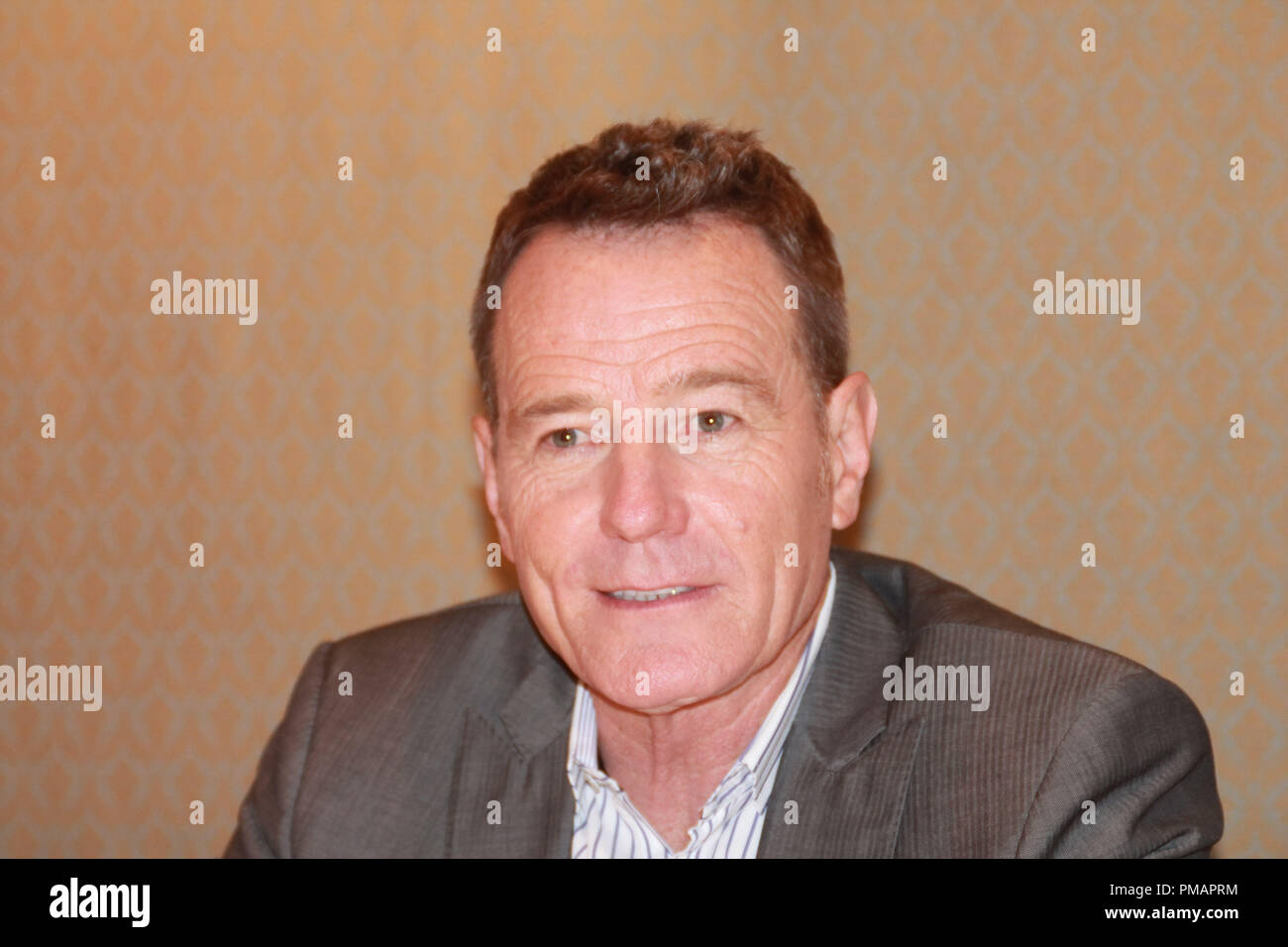 Bryan Cranston "Breaking Bad" TV Portrait Session, July 23, 2013 ...