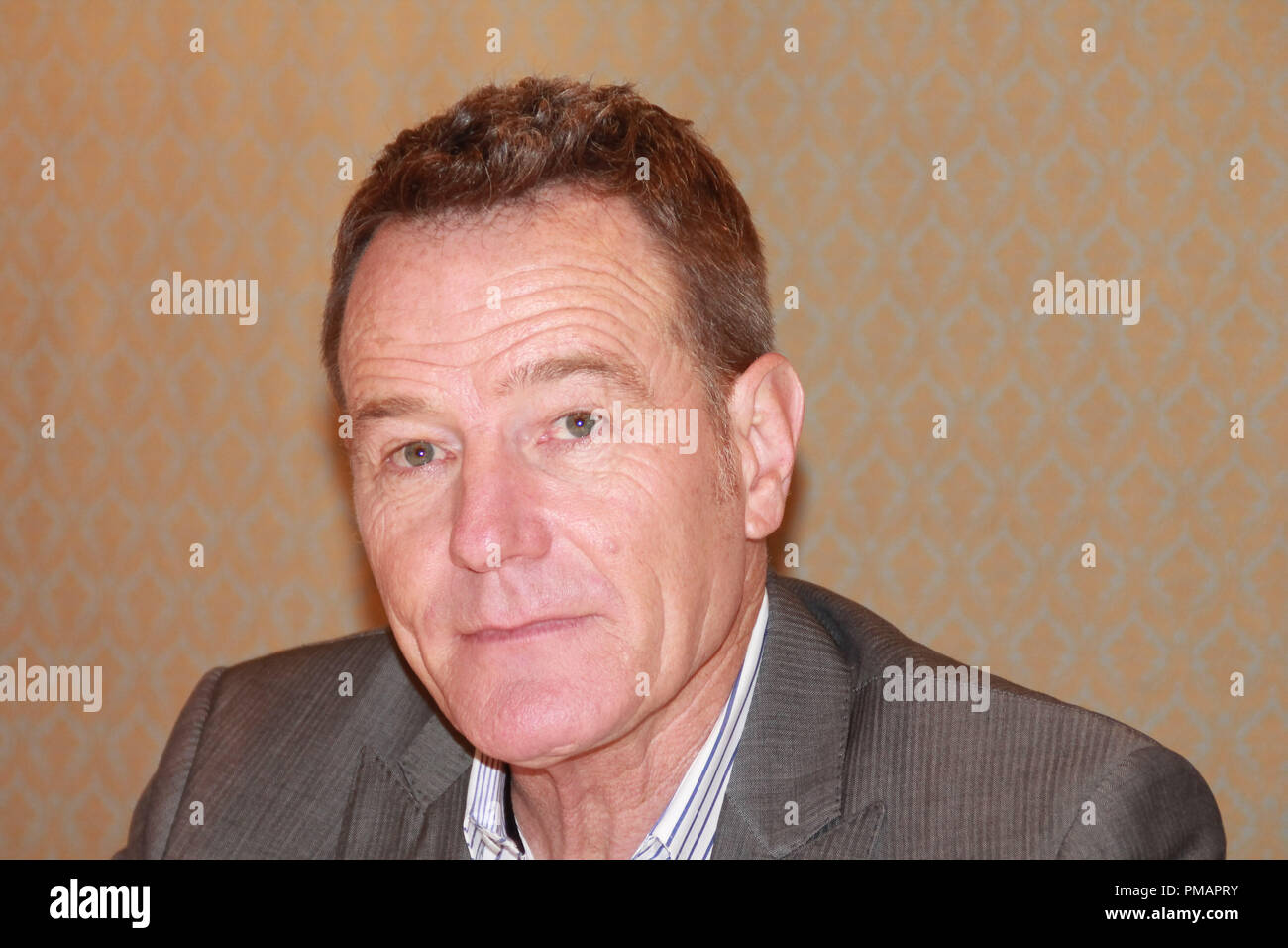 Bryan Cranston "Breaking Bad" TV Portrait Session, July 23, 2013 ...