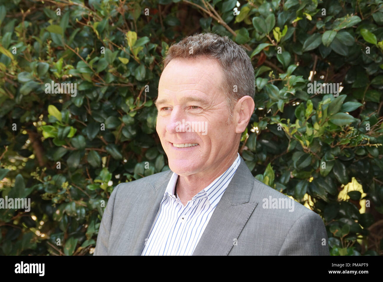 Bryan Cranston "Breaking Bad" TV Portrait Session, July 23, 2013 ...