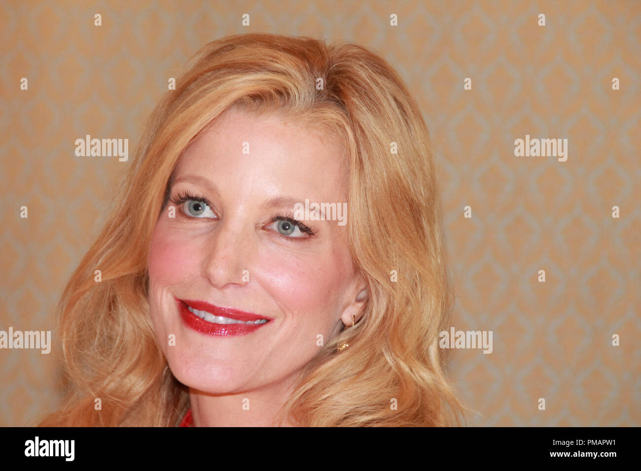 Anna Gunn "Breaking Bad" TV Portrait Session, July 23, 2013 ...