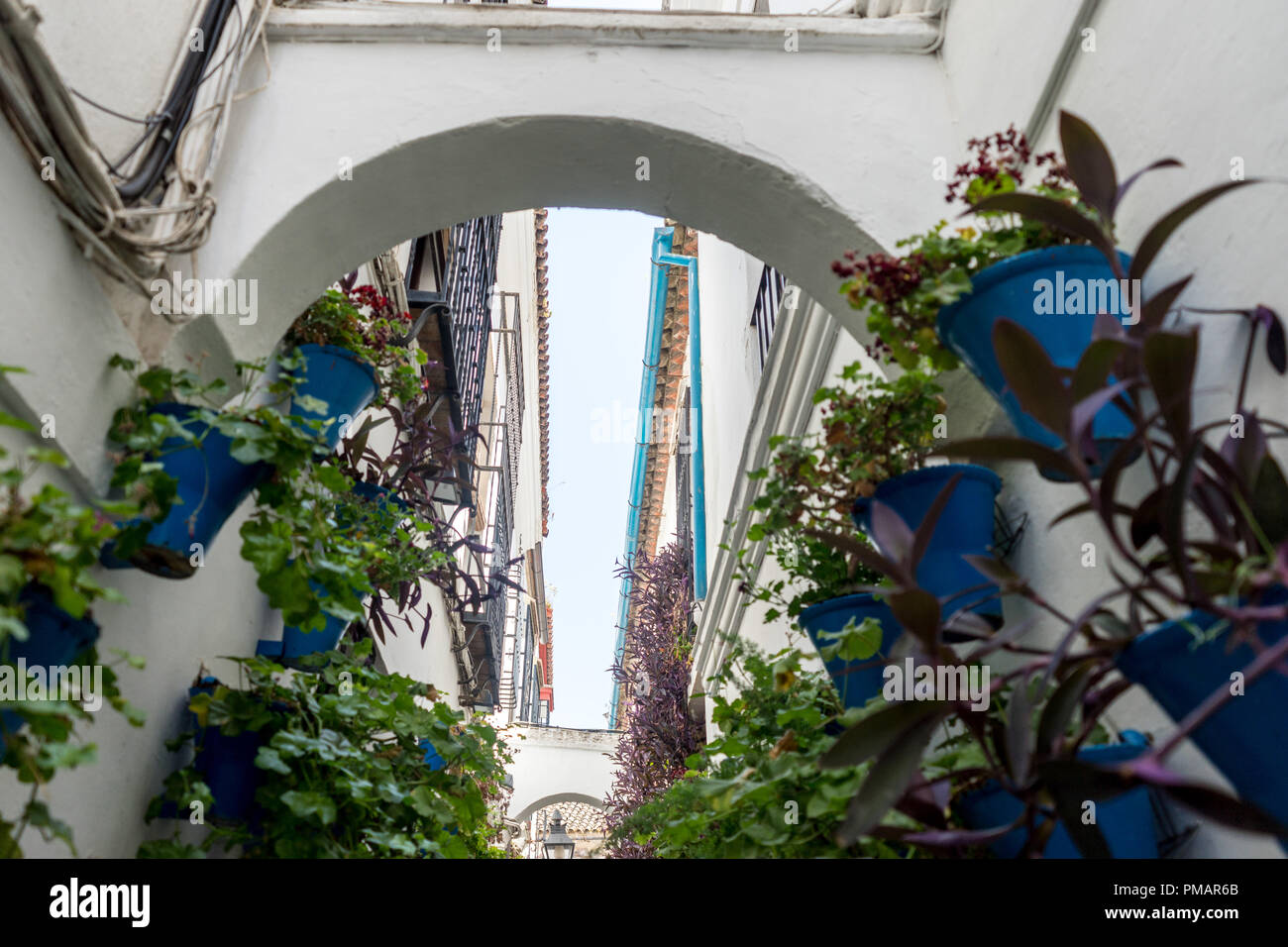 View window flowering tree hi-res stock photography and images - Alamy
