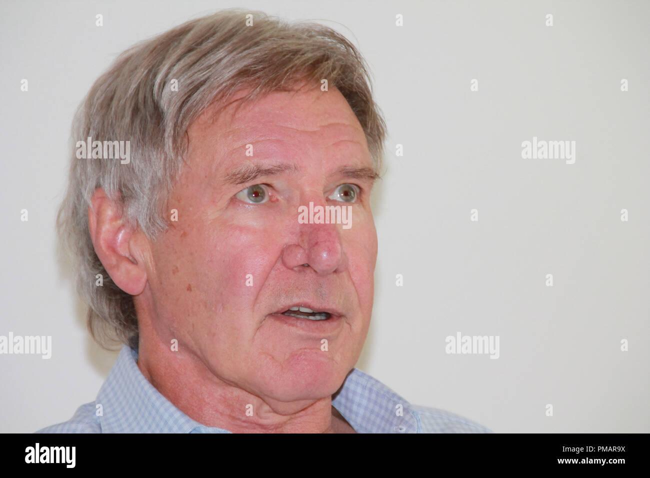 Harrison Ford "Paranoia" Portrait Session, August 1, 2013. Reproduction ...