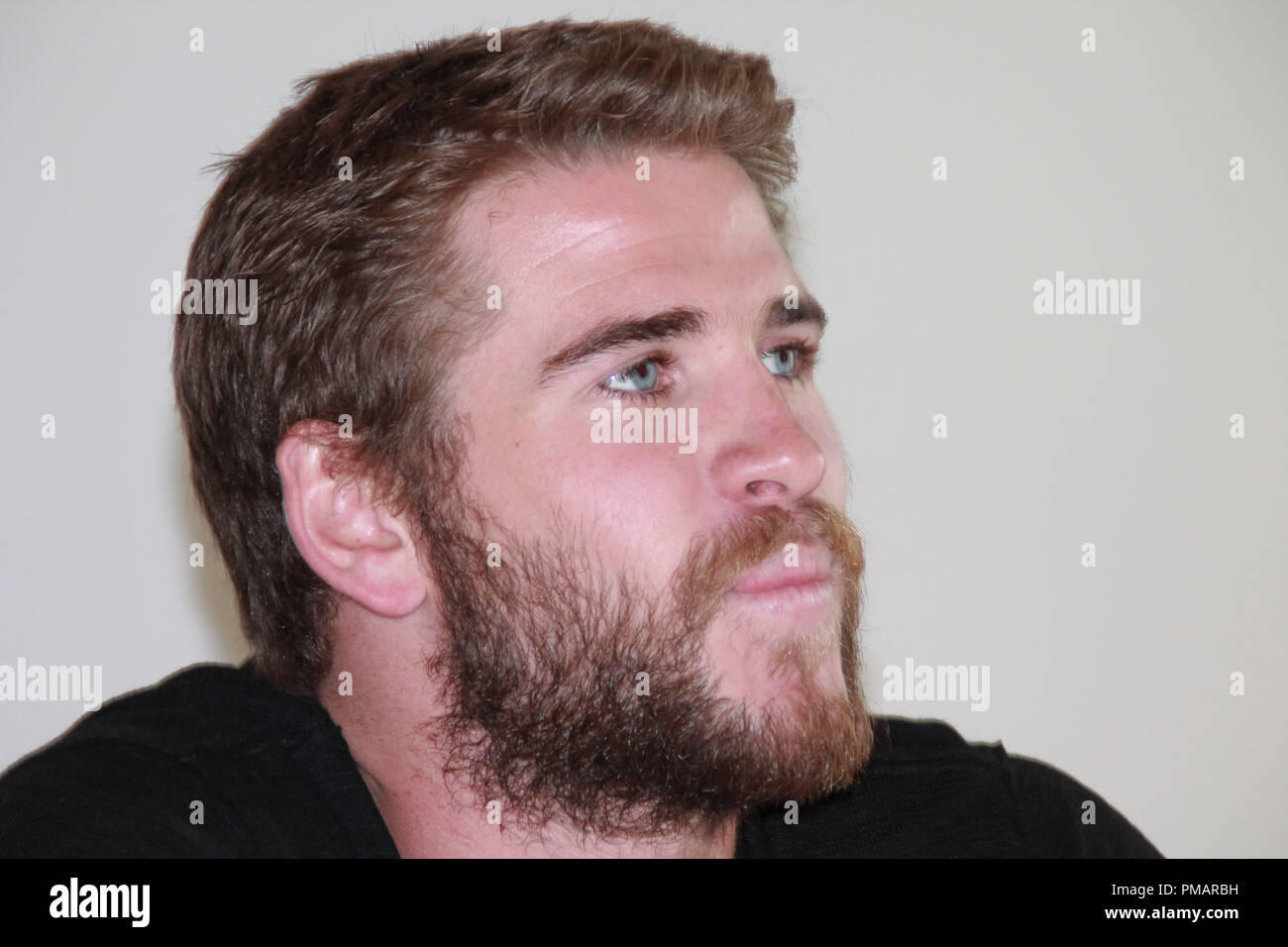 Liam Hemsworth "Paranoia" Portrait Session, August 1, 2013 ...