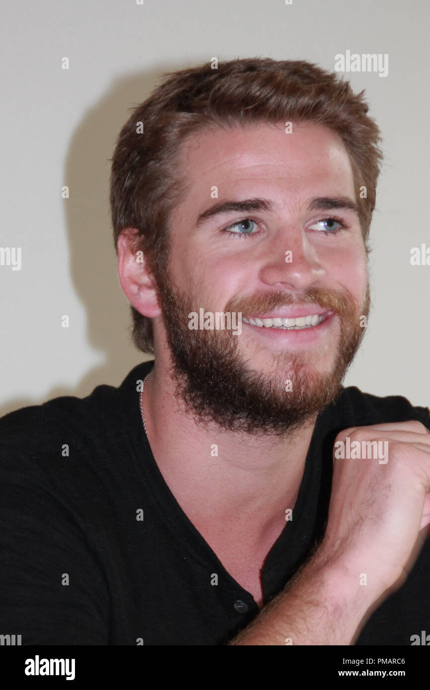 Liam Hemsworth "Paranoia" Portrait Session, August 1, 2013 ...