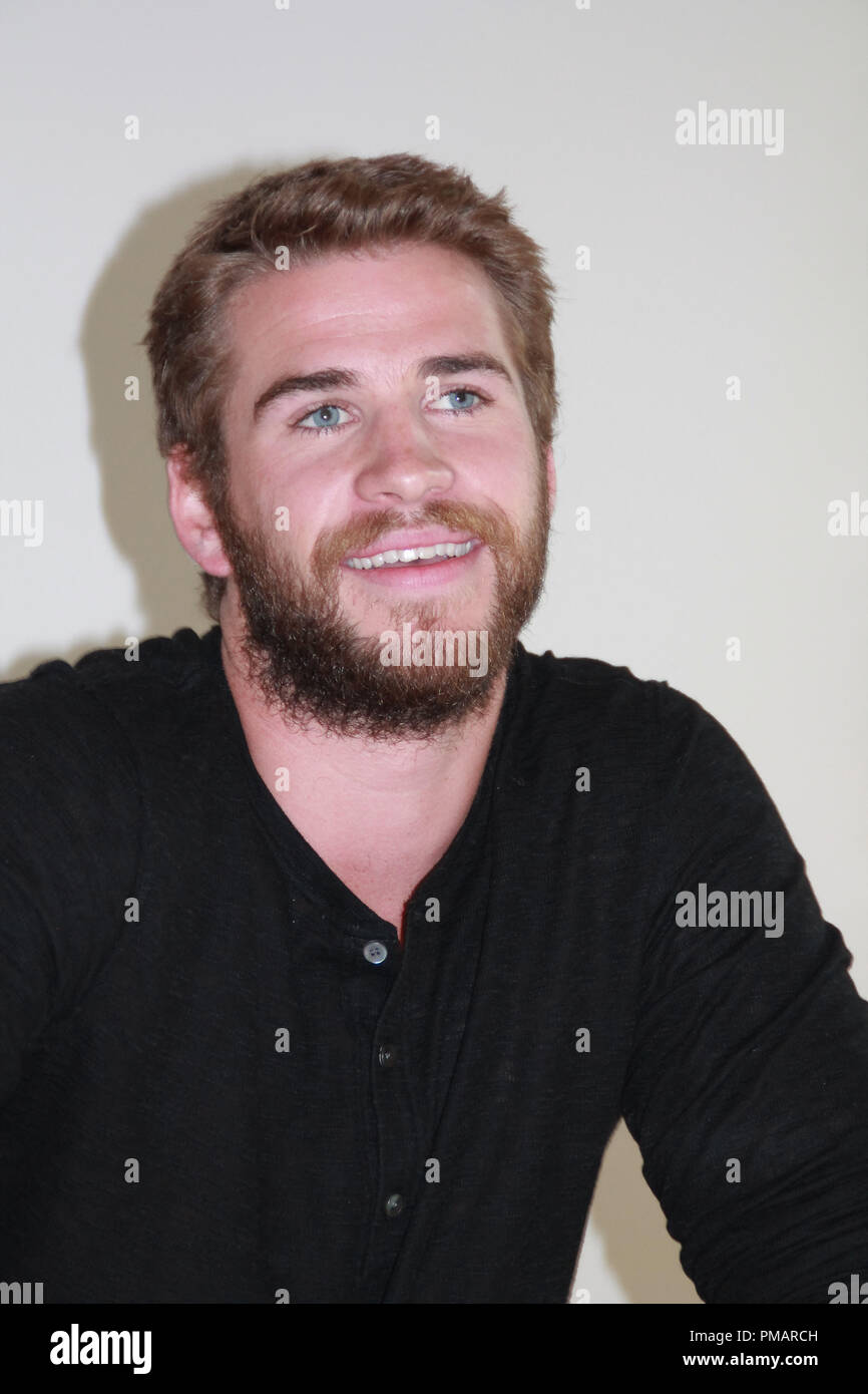 Liam Hemsworth "Paranoia" Portrait Session, August 1, 2013 ...