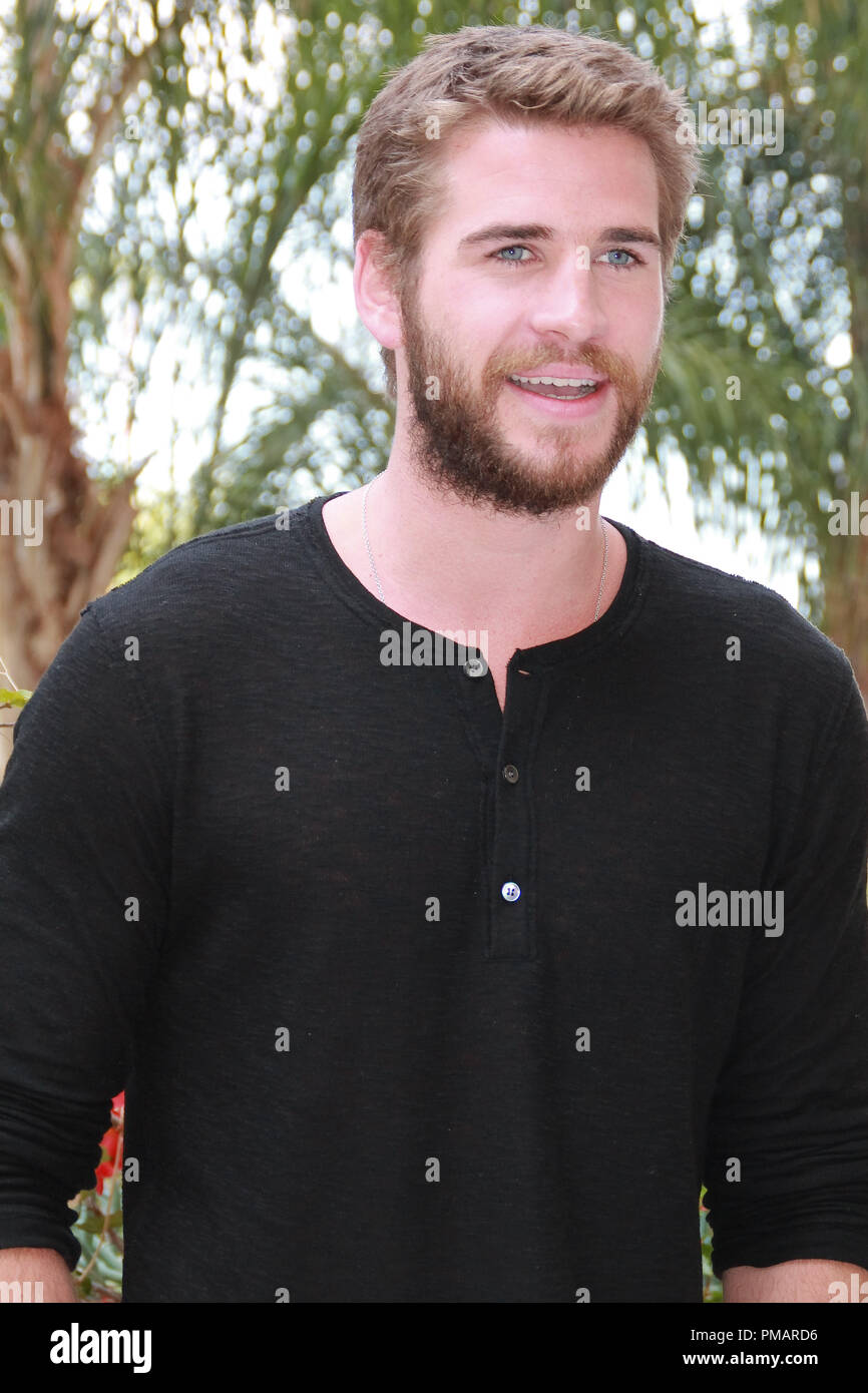Liam Hemsworth "Paranoia" Portrait Session, August 1, 2013 ...