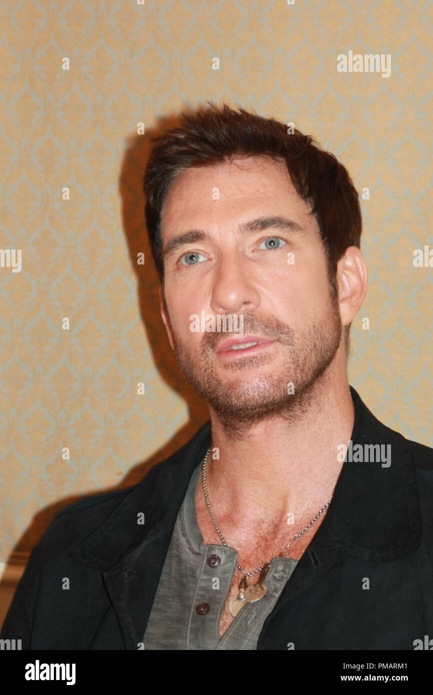 dylan mcdermott beard
