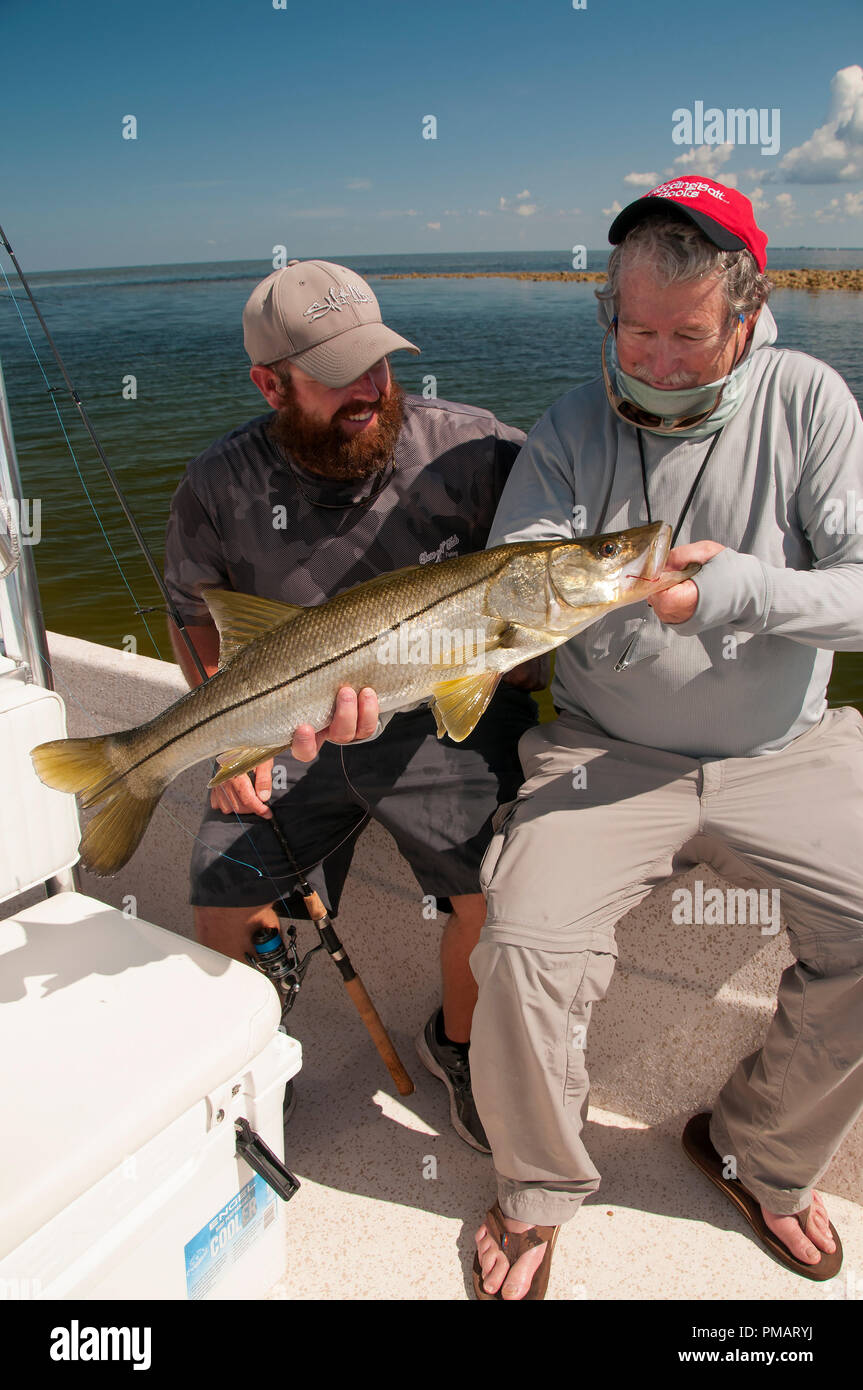 Big snook are an abundant species in the Gult all the way up to ...