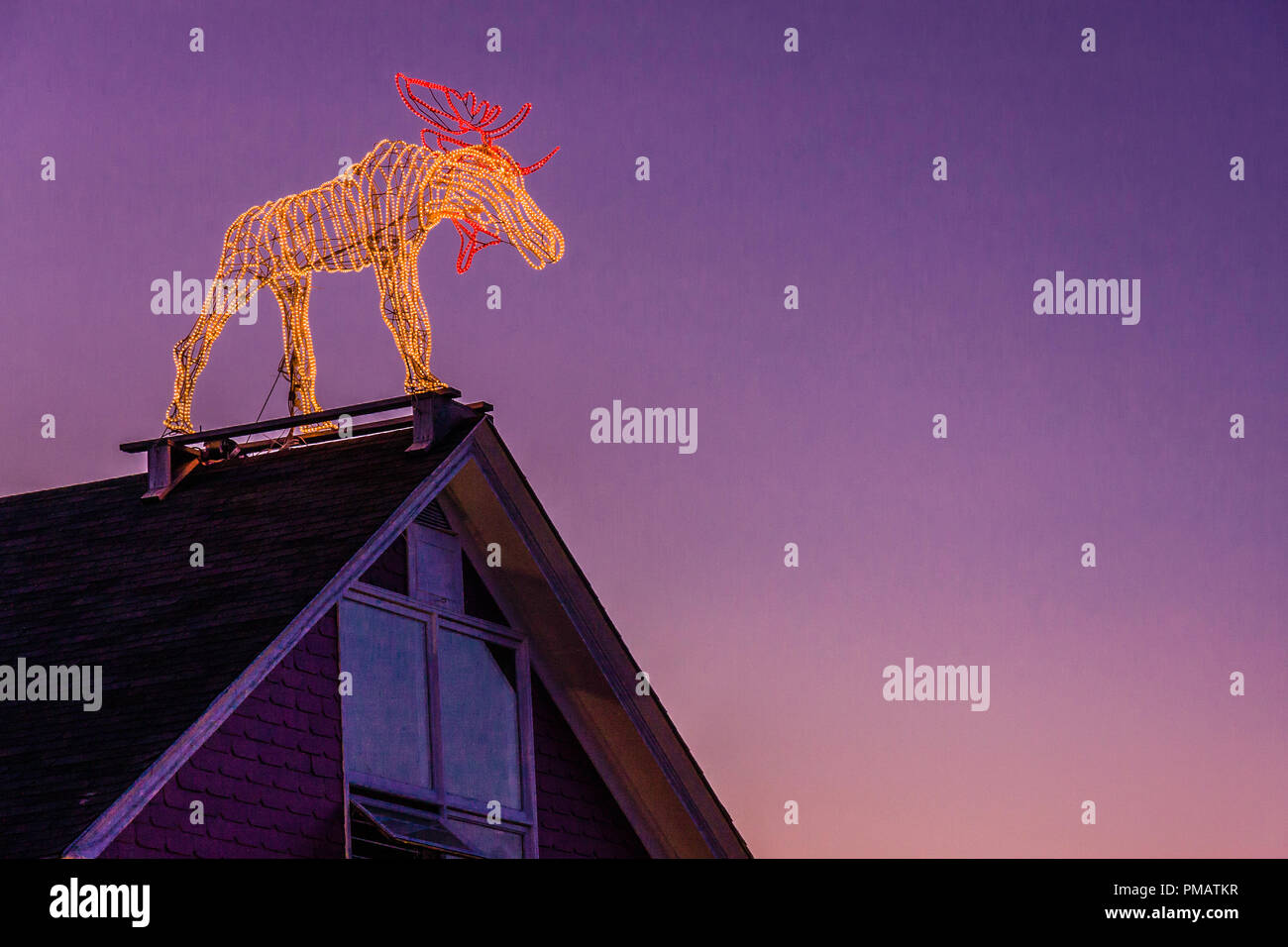 Electric Moose Bar Harbor, Maine, USA Stock Photo - Alamy