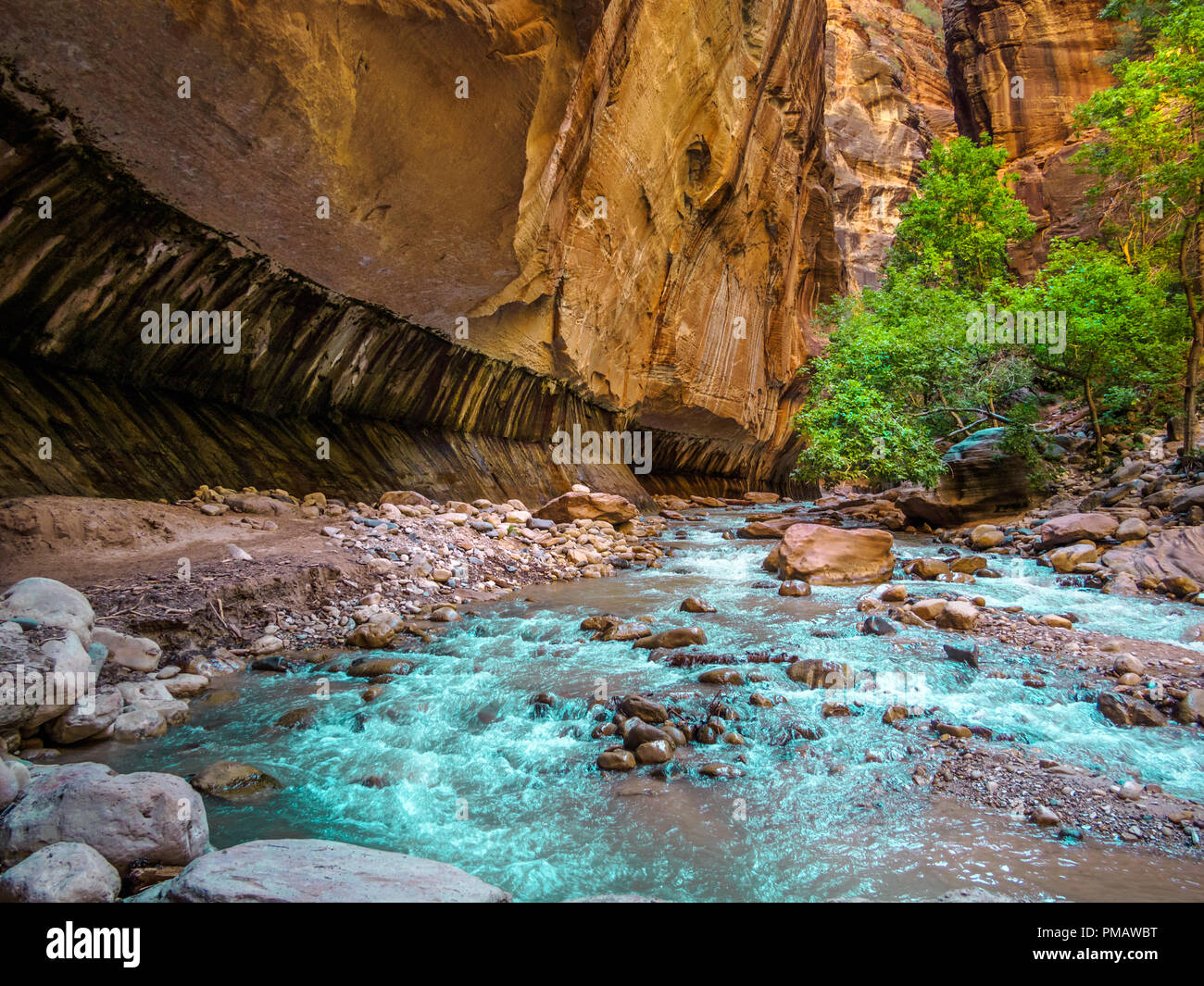 Riverside walk zion canyon hi-res stock photography and images - Alamy