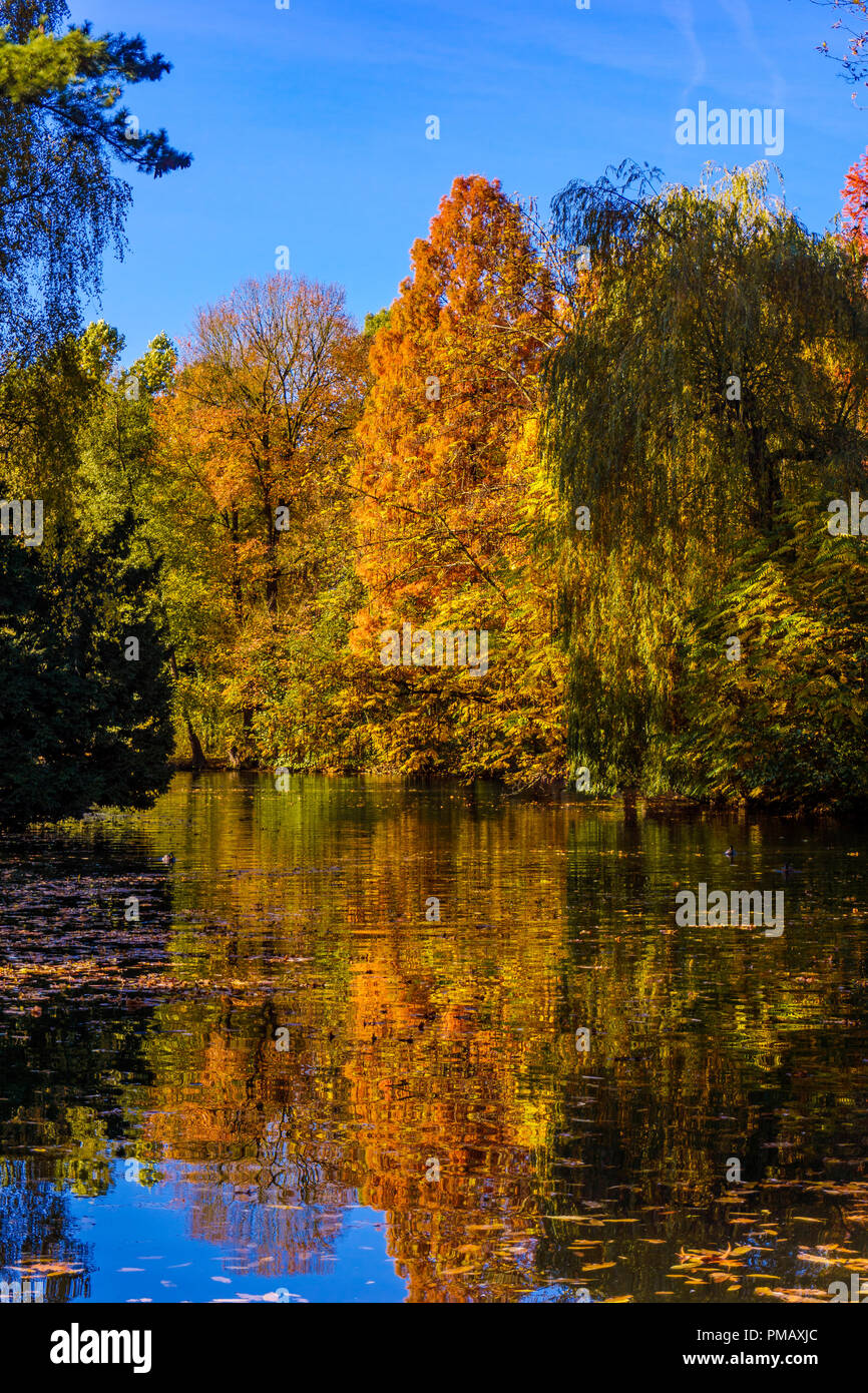 Wonderful Landscape. Colorful Autumn scene Stock Photo - Alamy