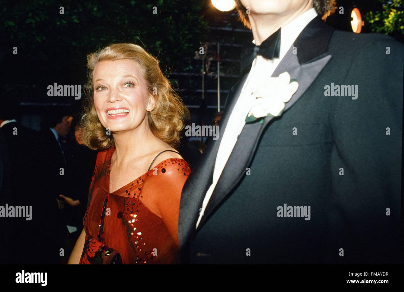 Gena Rowlands circa 1981 © JRC /The Hollywood Archive - All Rights ...