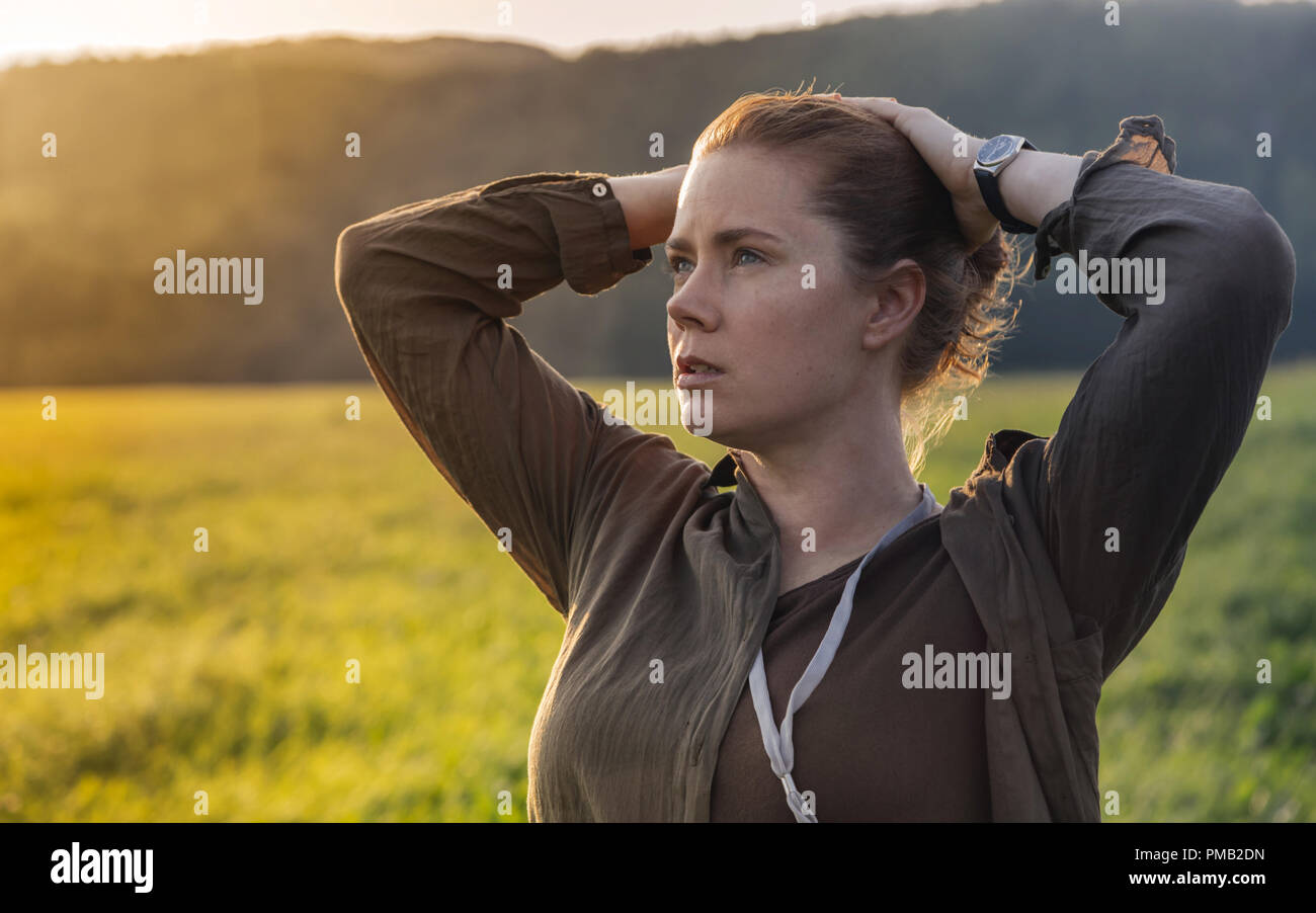 Amy adams in arrival hi-res stock photography and images - Alamy