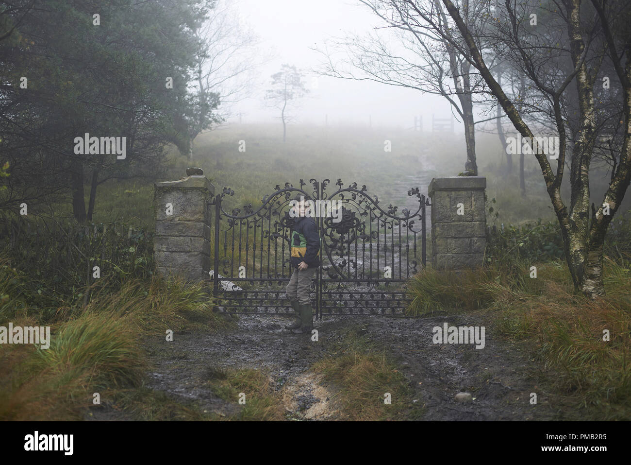 Monster Calls 2016 Lewis Macdougall High Resolution Stock Photography ...