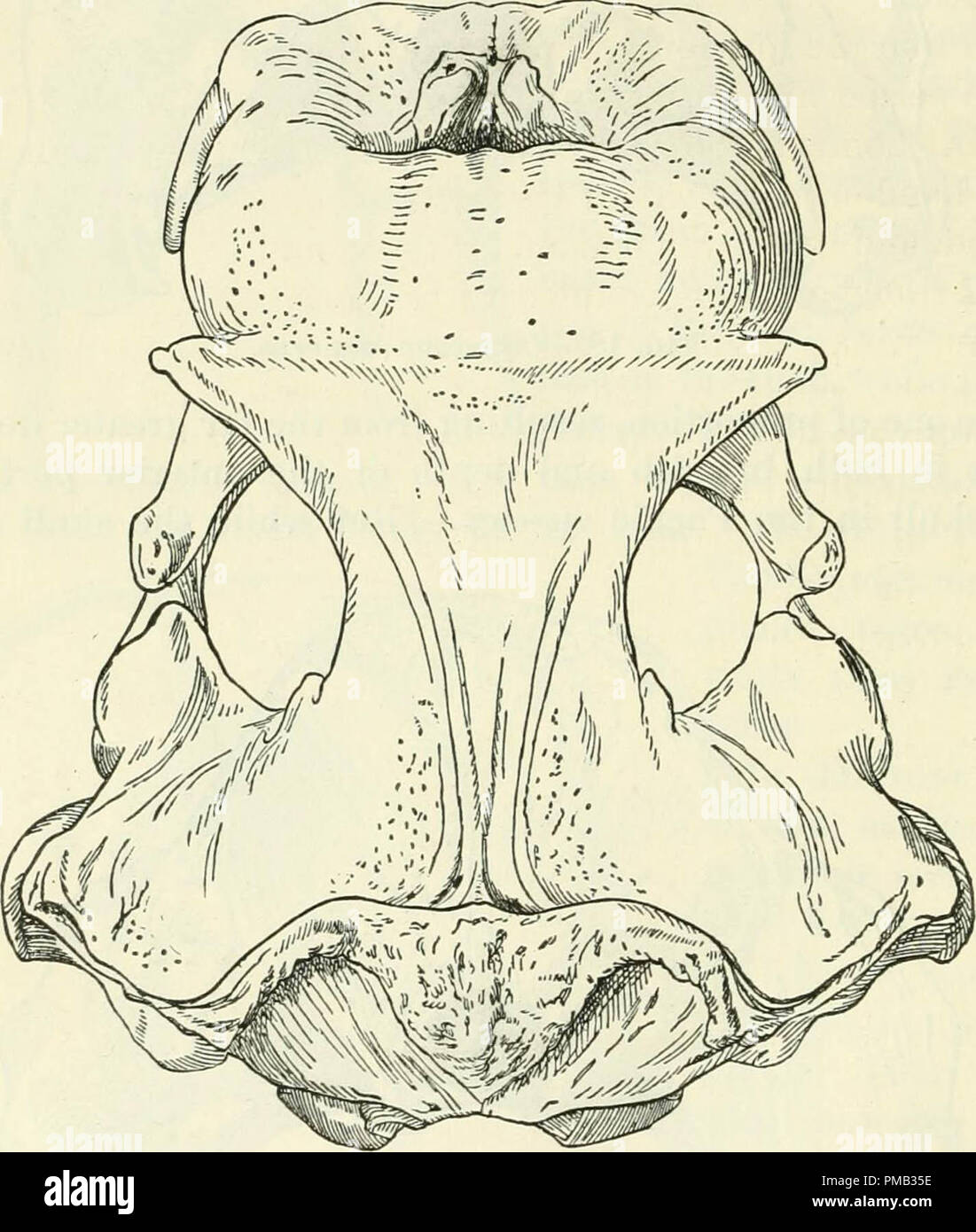 "History of North American pinnipeds : a monograph of the walruses, sea ...