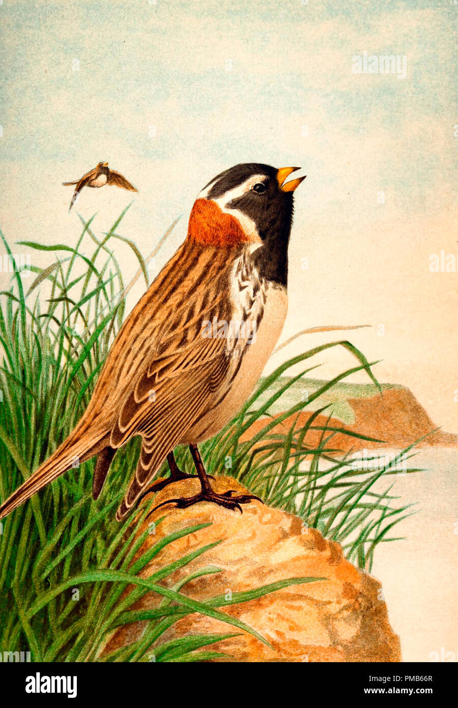 Alaska unalaska hi-res stock photography and images - Alamy