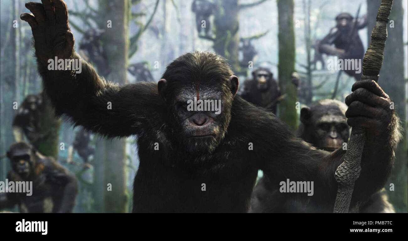Planet of the apes hi-res stock photography and images - Alamy