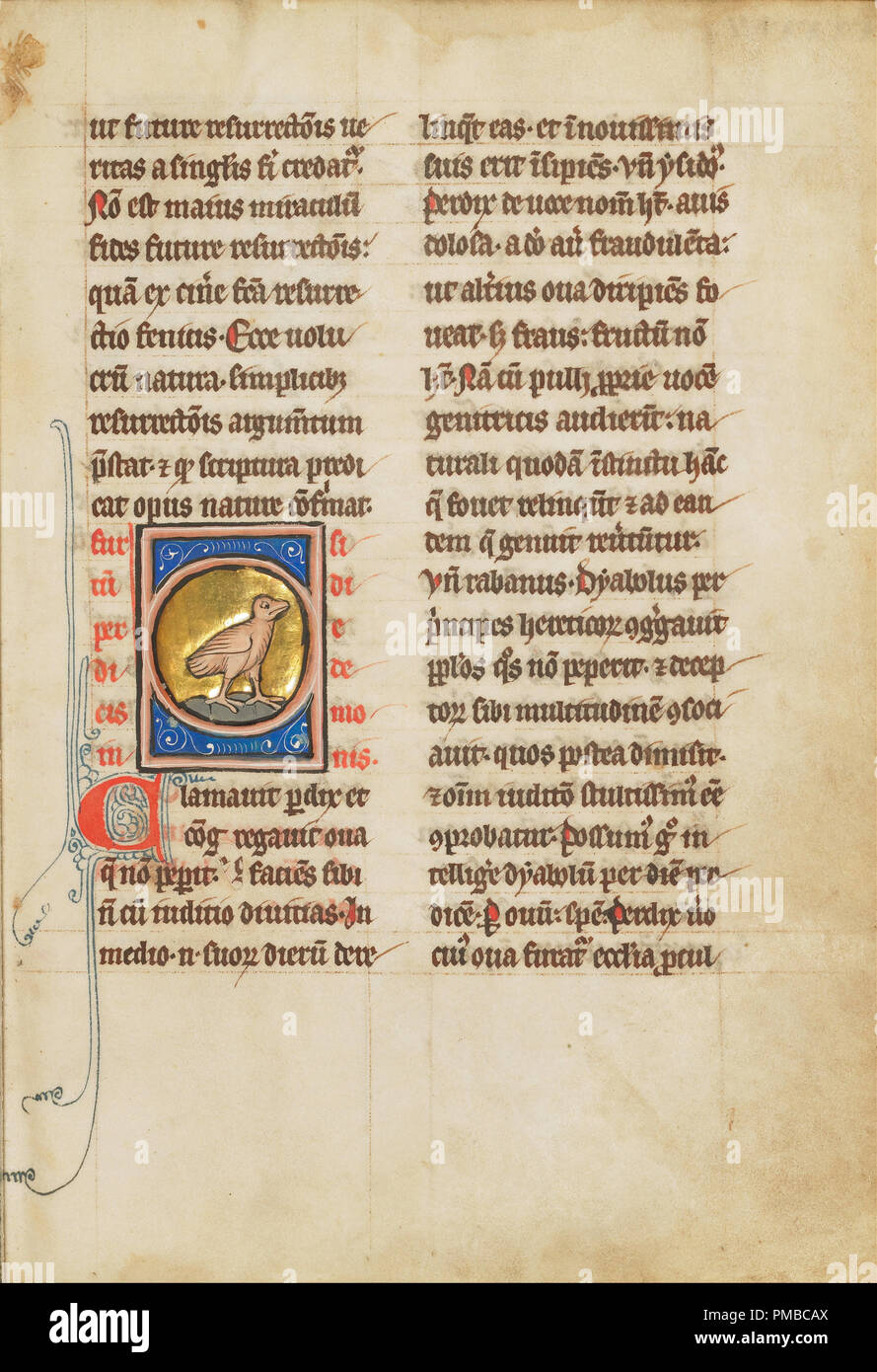 Gold partridge hi-res stock photography and images - Alamy