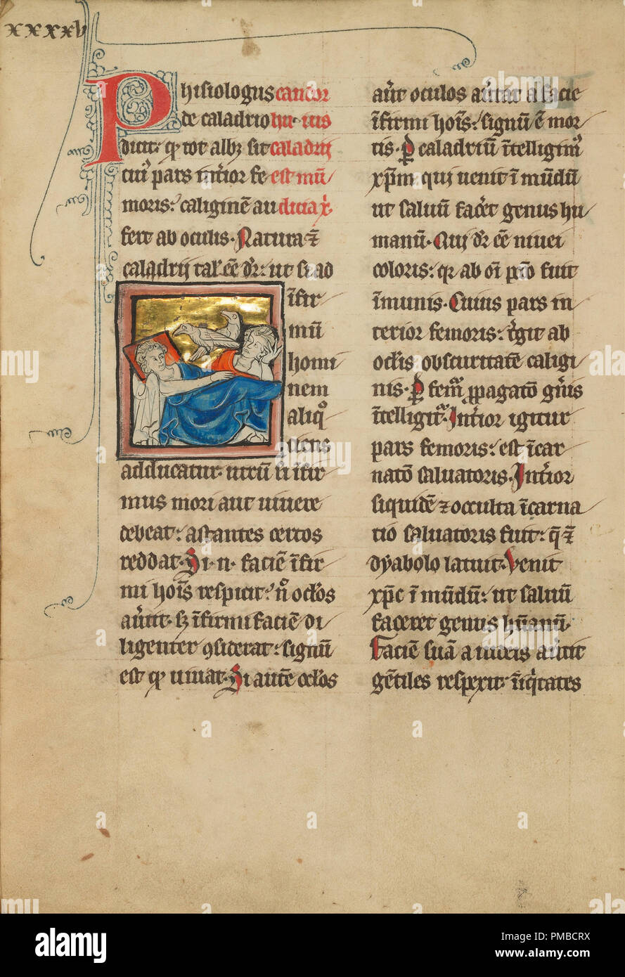 A Plover. Date/Period: Fourth quarter of 13th century (after 1277 ...