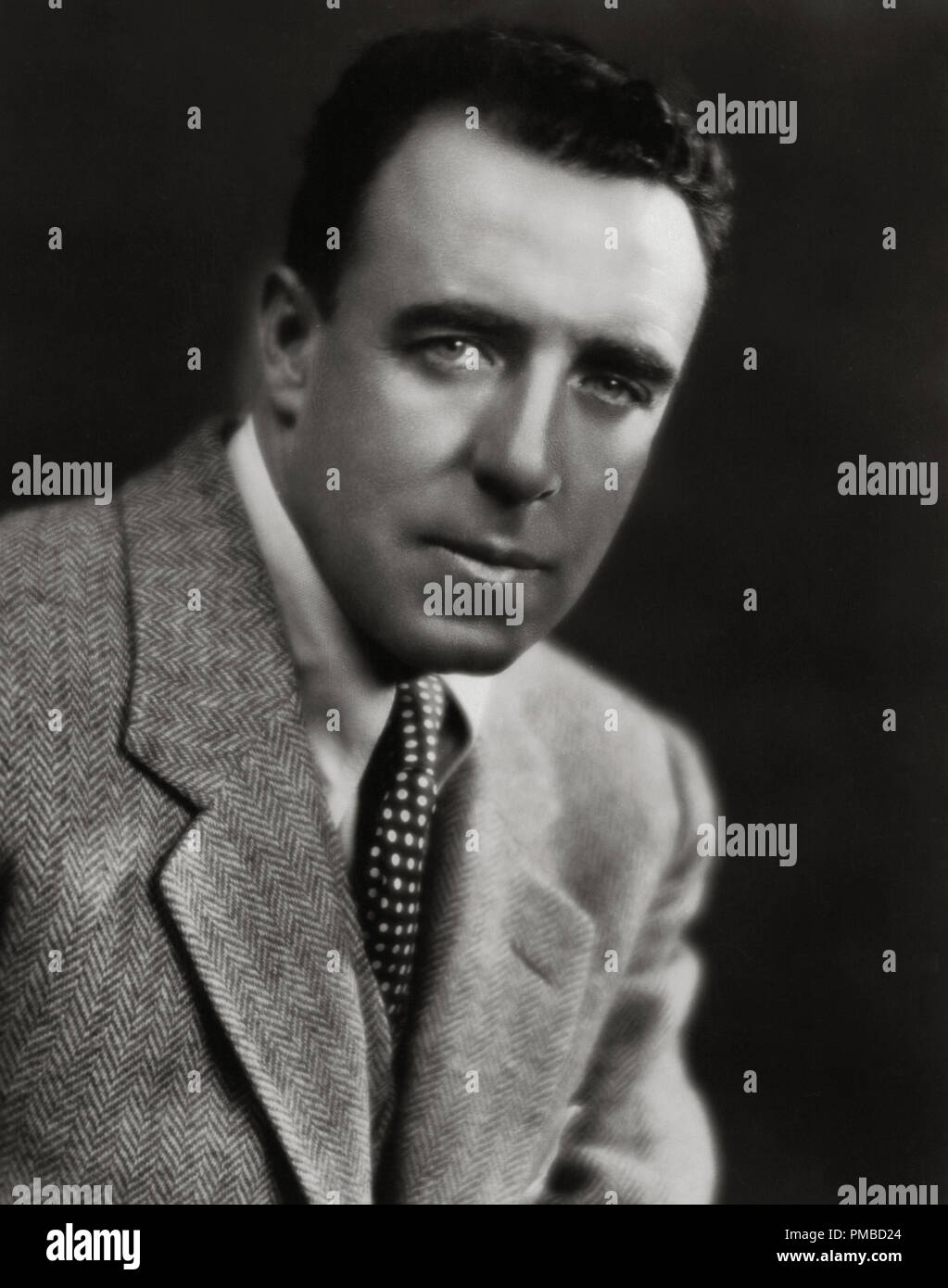 Raoul Walsh, circa 1924 File Reference # 32914 920THA Stock Photo - Alamy