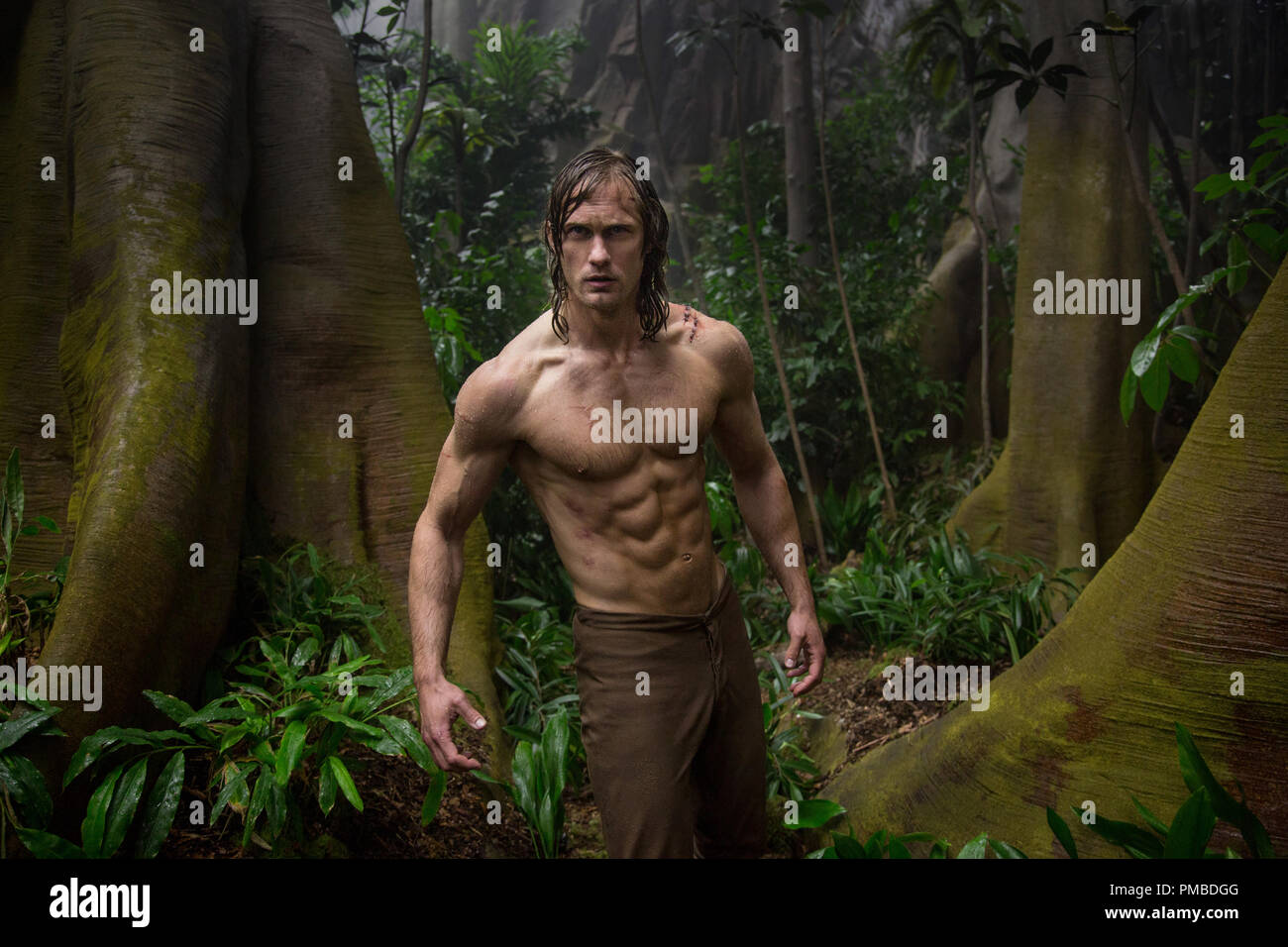 Alexander skarsgard as tarzan hi-res stock photography and images - Alamy