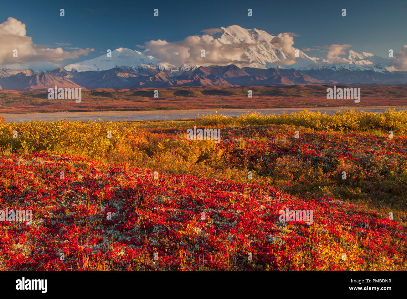 Denali scenery hi-res stock photography and images - Alamy