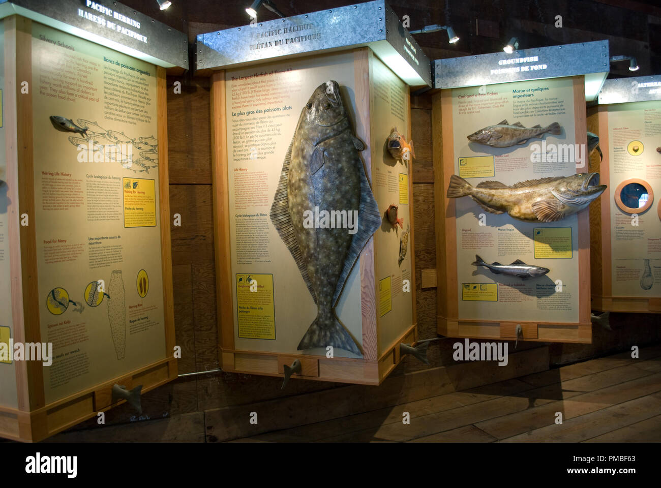 Fishery displays at the Gulf of Georgia Cannery Museum at Steveston on ...