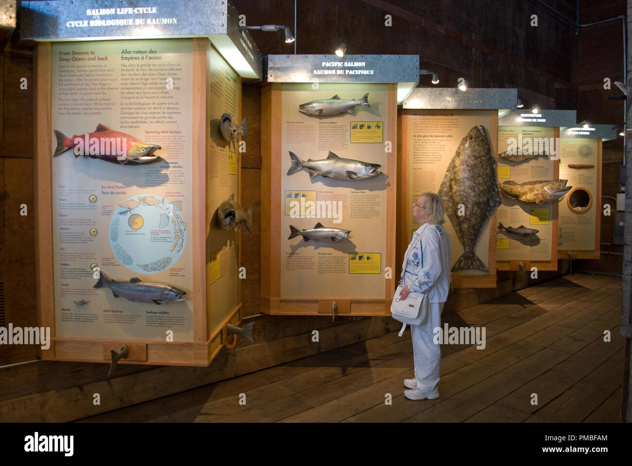 Fishery displays at the Gulf of Georgia Cannery Museum at Steveston on ...