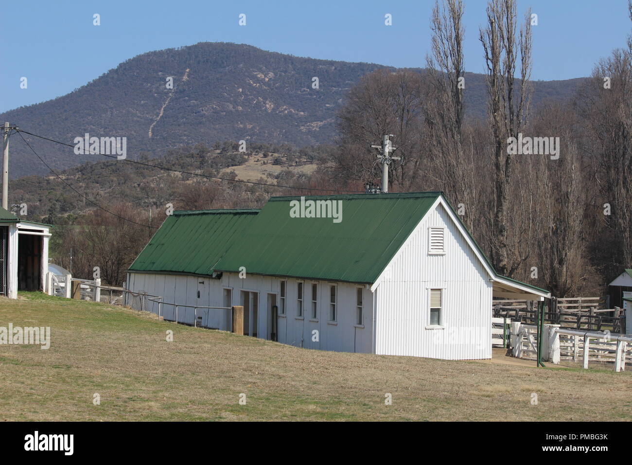 Milking shed and paddock with view of Mount Tennent at Lanyon Homestead ...