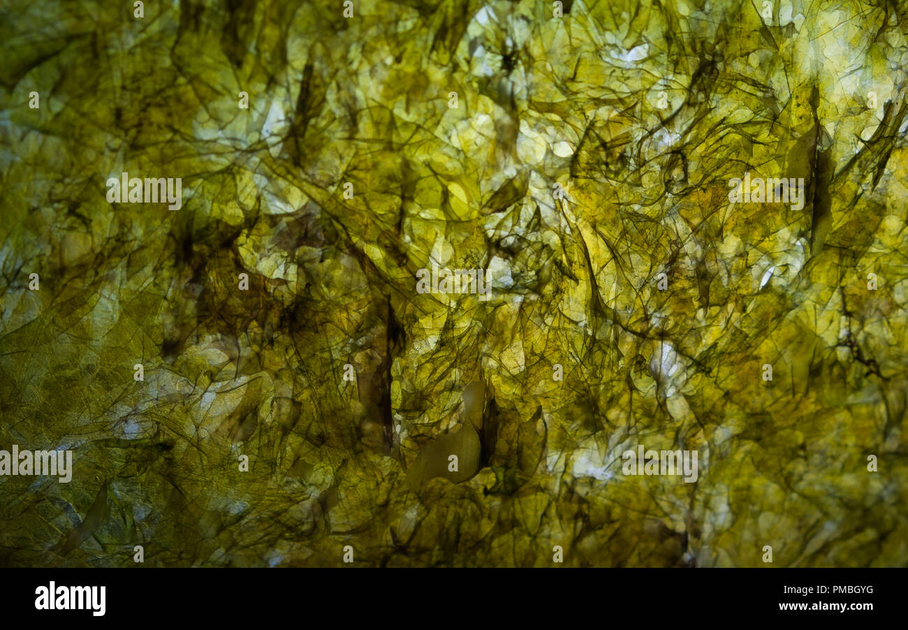 Dried seaweed sheet hi-res stock photography and images - Alamy