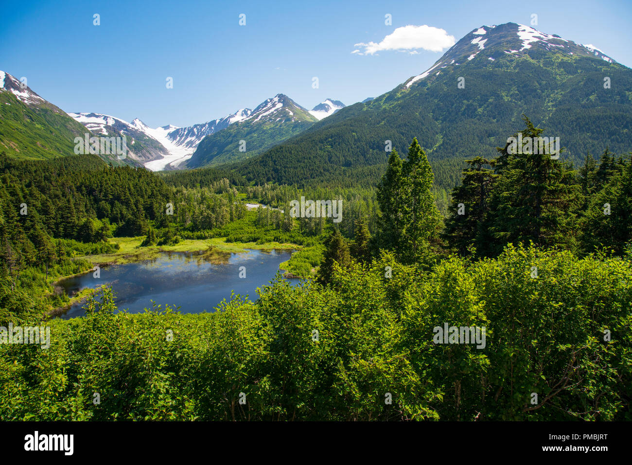 Alaska Railroad Glacier Discovery train trip, Chugach National Forest ...