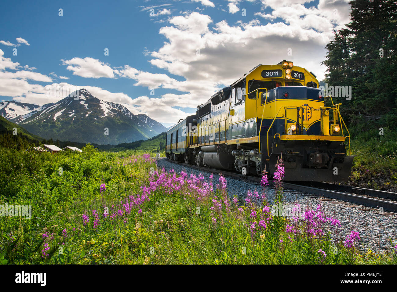 Alaska Railroad Glacier Discovery train trip, Chugach National Forest ...