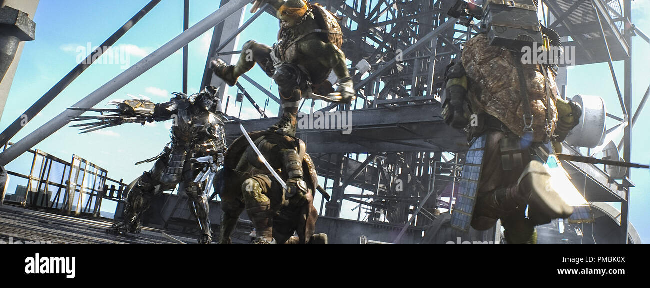 Teenage Mutant Ninja Turtles Shredder Face