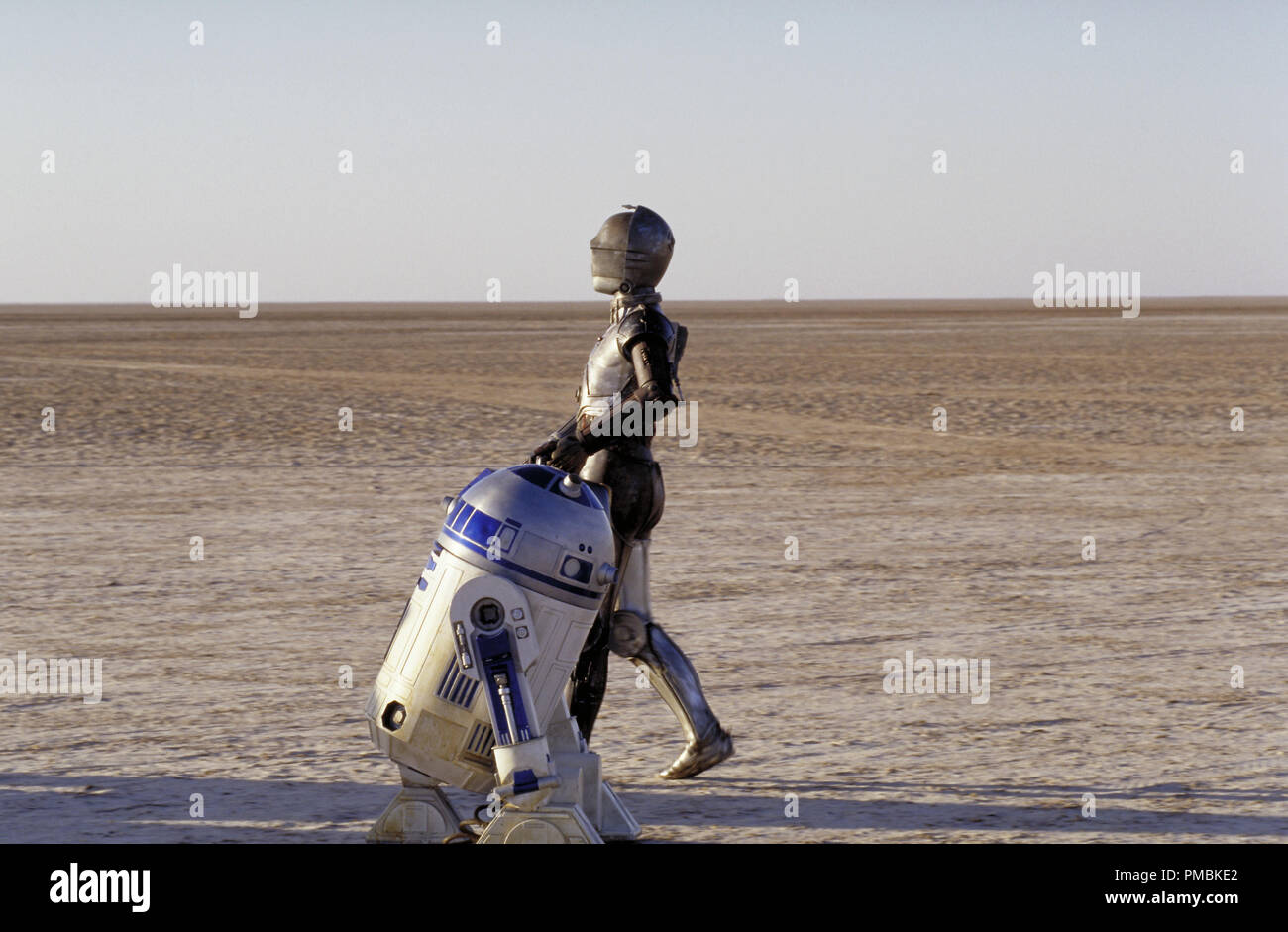 R2d2 And C3po Desert