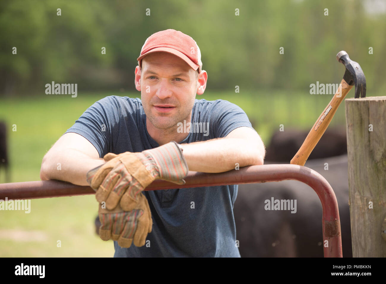 Jack Forrester-COREY STOLL in "THE GOOD LIE" (2014 Stock Photo - Alamy