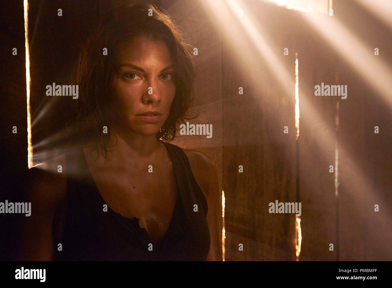 Lauren cohen walking dead hi-res stock photography and images - Alamy