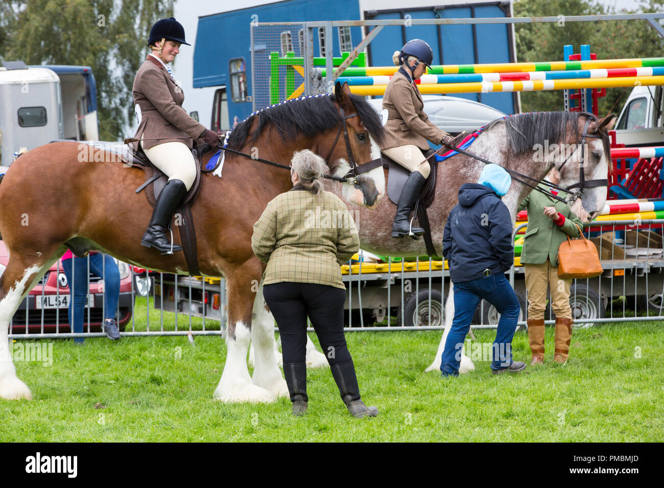 A heavy horse at the Westmorland County Show, near Kendal, Cumbria, UK ...