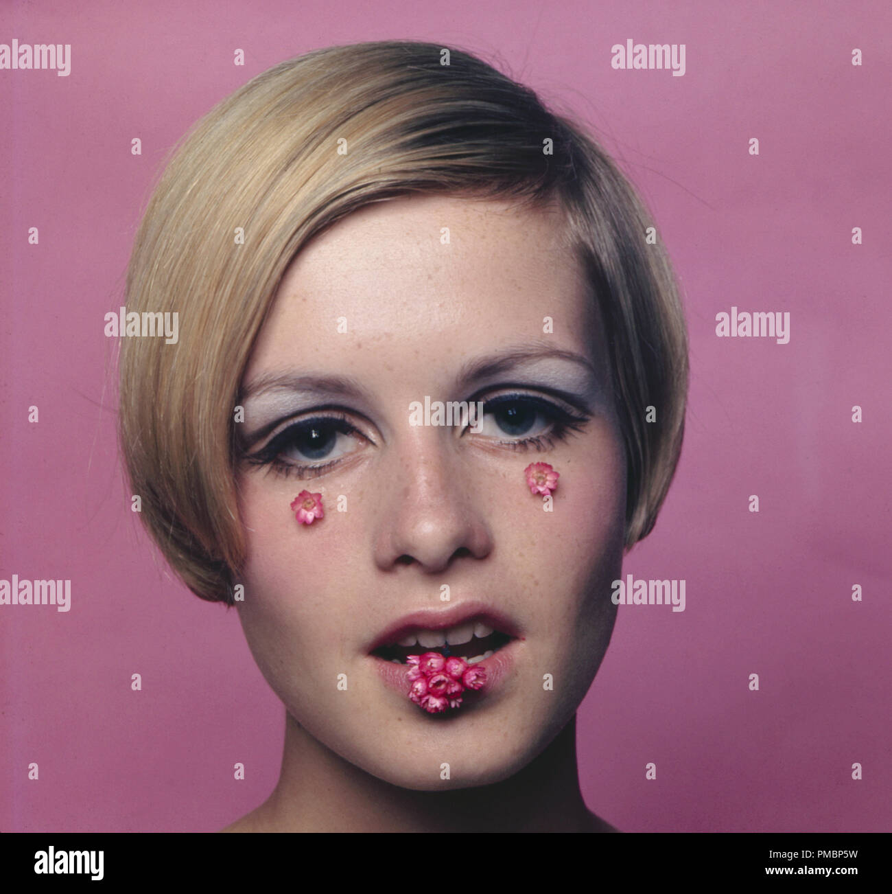 Twiggy hi-res stock photography and images - Alamy