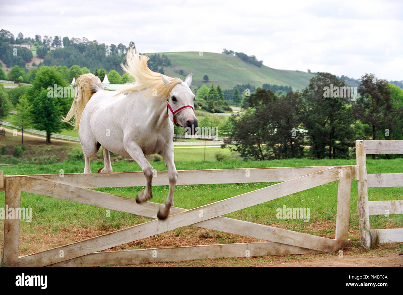 SANDY, voiced by MANDY MOORE, in Alcon Entertainment's live action ...